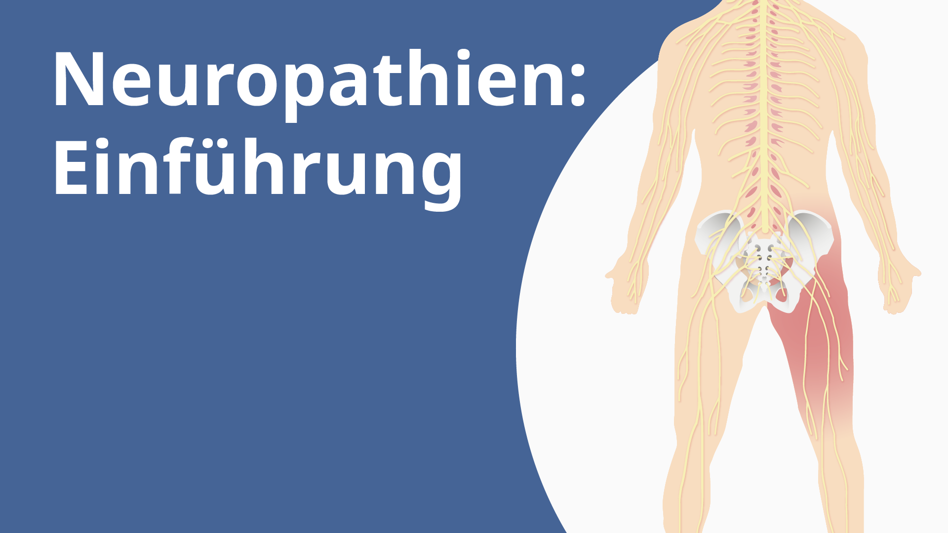 Achillessehnenreflex Fehlend, Periphere Neuropathie – RWHI