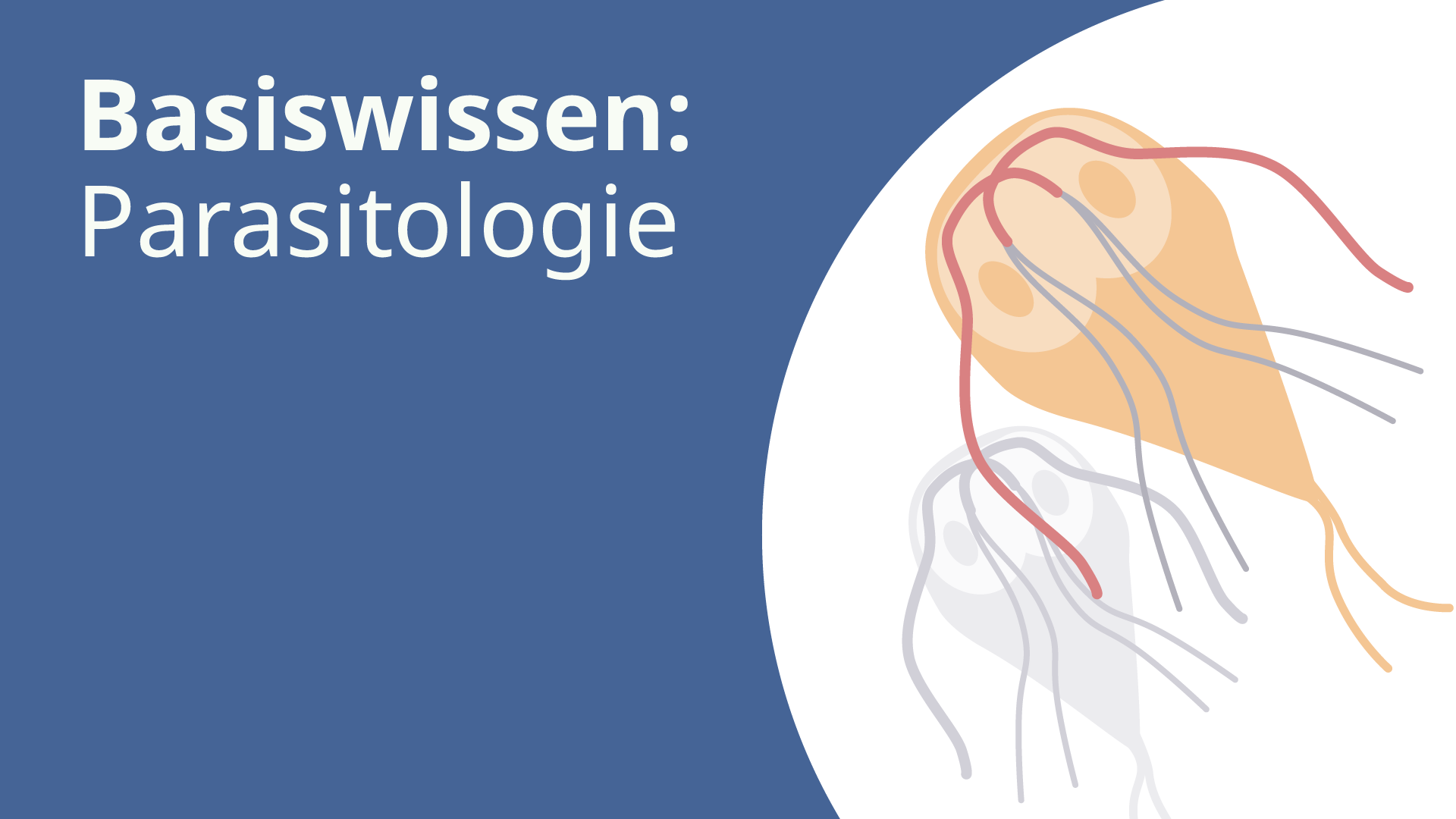 Basiswissen: Parasitologie – Kurs