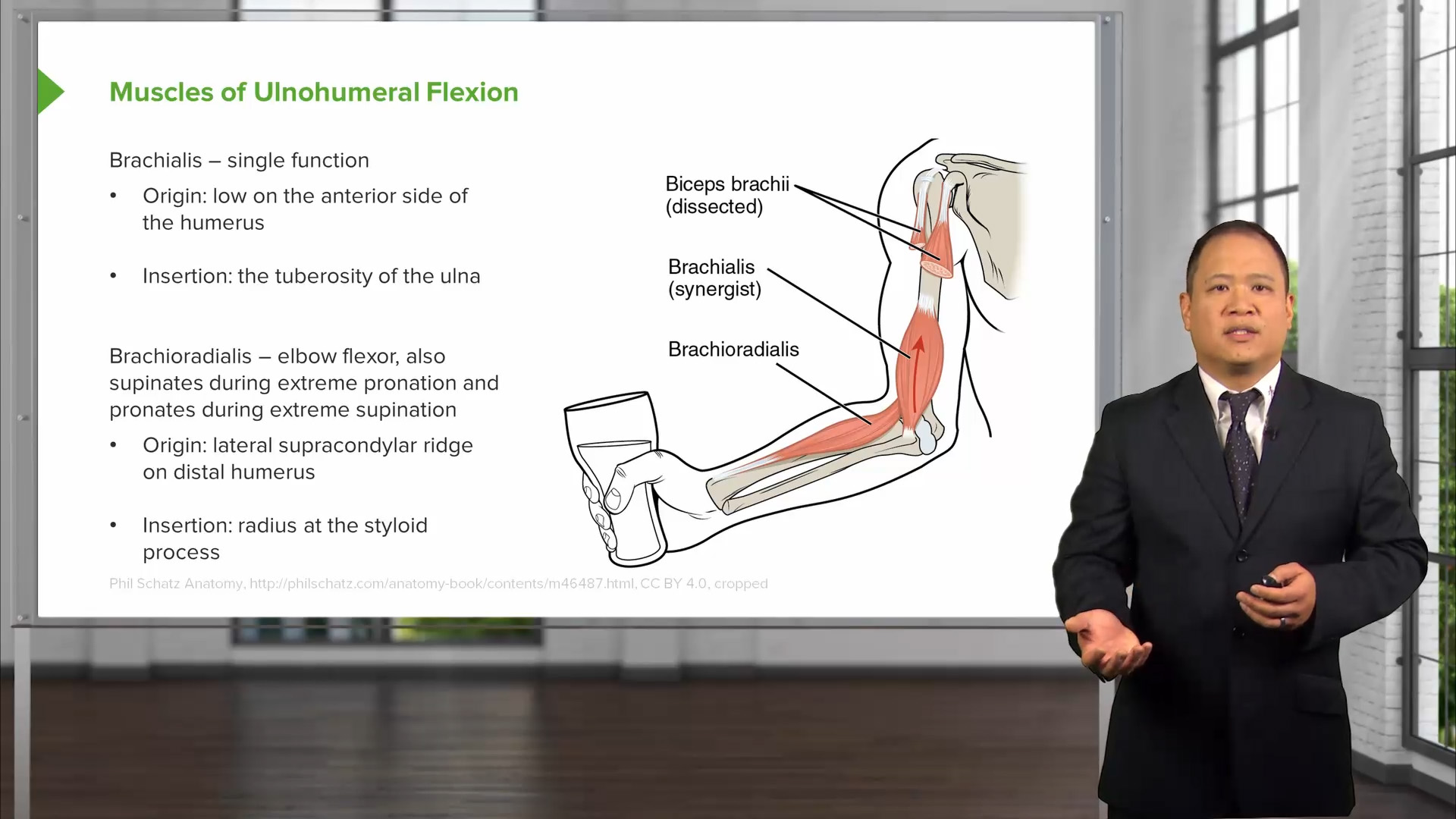 Elbow Region: General Principles – OMM Prep Course | Lecturio