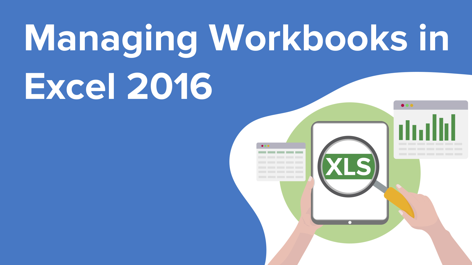 Manage Workbook And Worksheet Views Online Software Lecture
