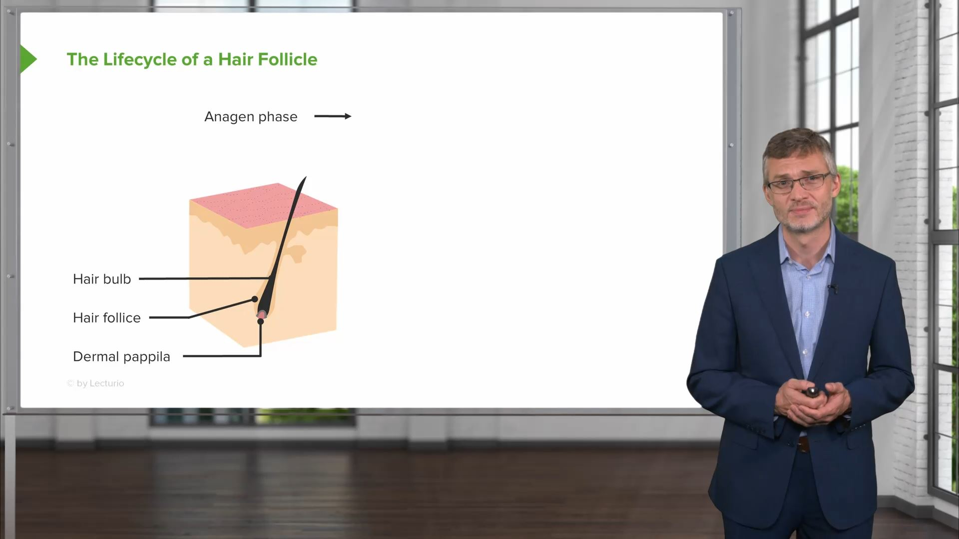 Derma Case: Facial Rash – Online Derma Lecture | Lecturio