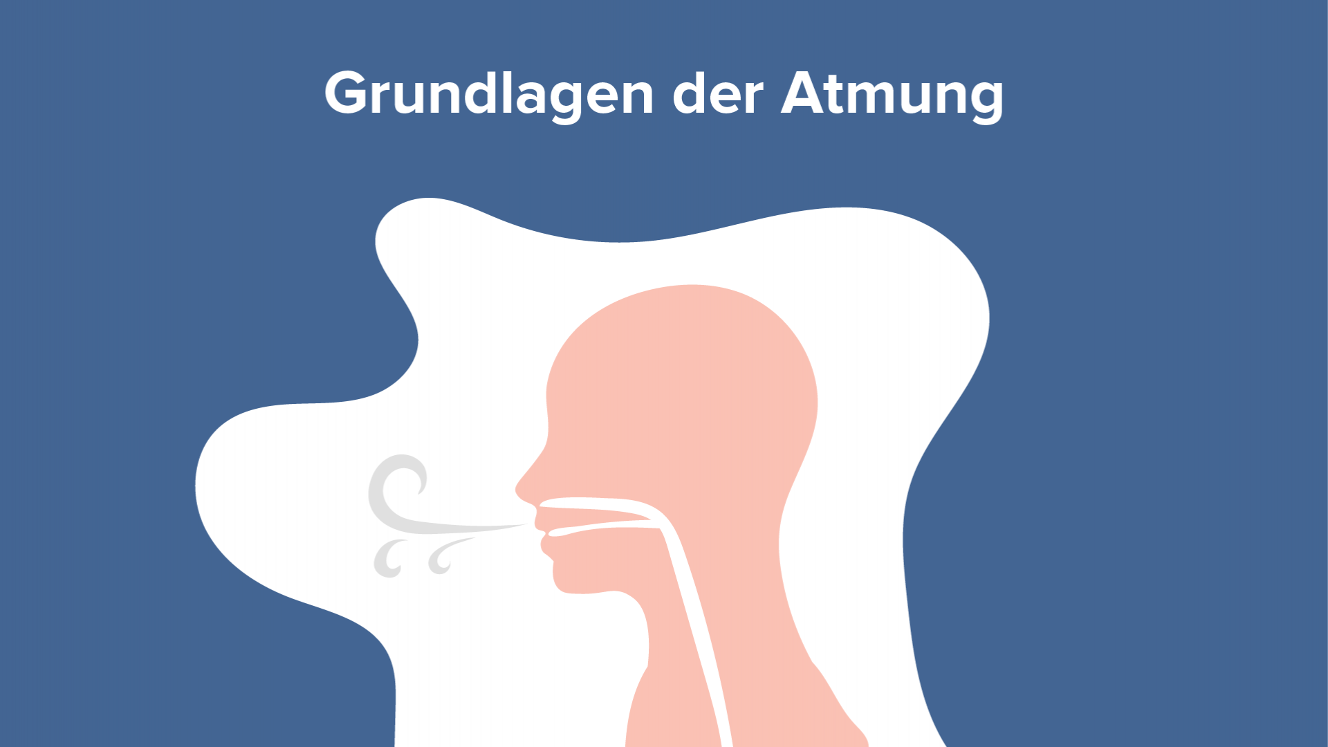 Grundlagen der Atmung – Online Physiologie Kurs | Lecturio