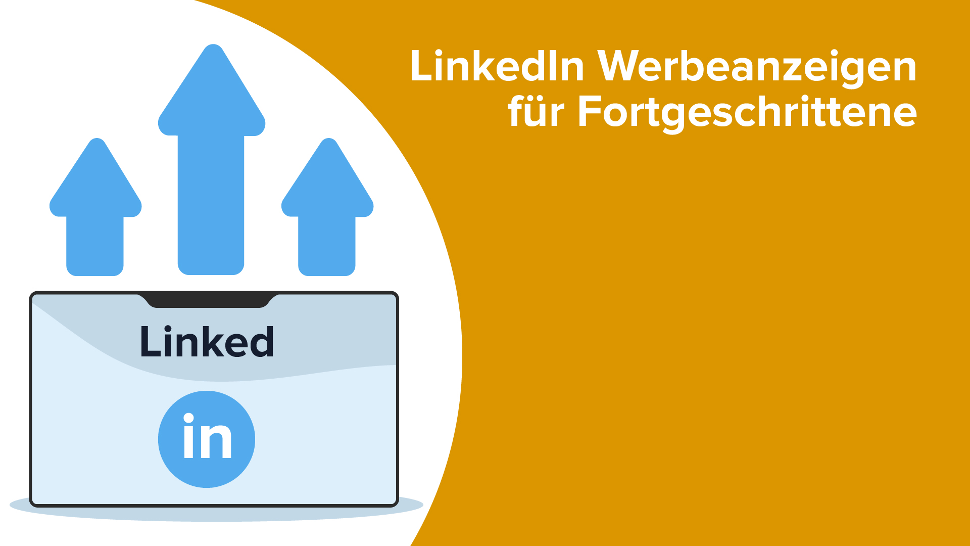 Marketing: LinkedIn Werbeanzeigen für Fortgeschrittene – Online Kurs