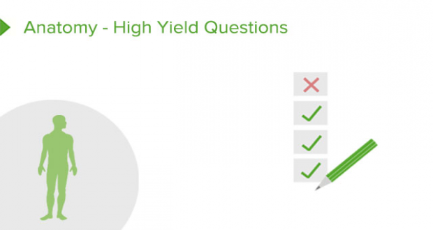 Anatomy Question Set 2 – USMLE Step 1
