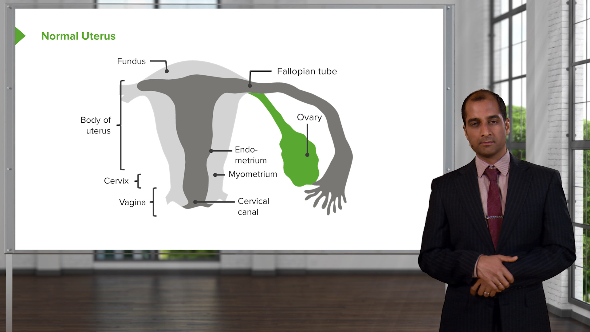 Inflammation of the Fallopian Tube – Medical Video