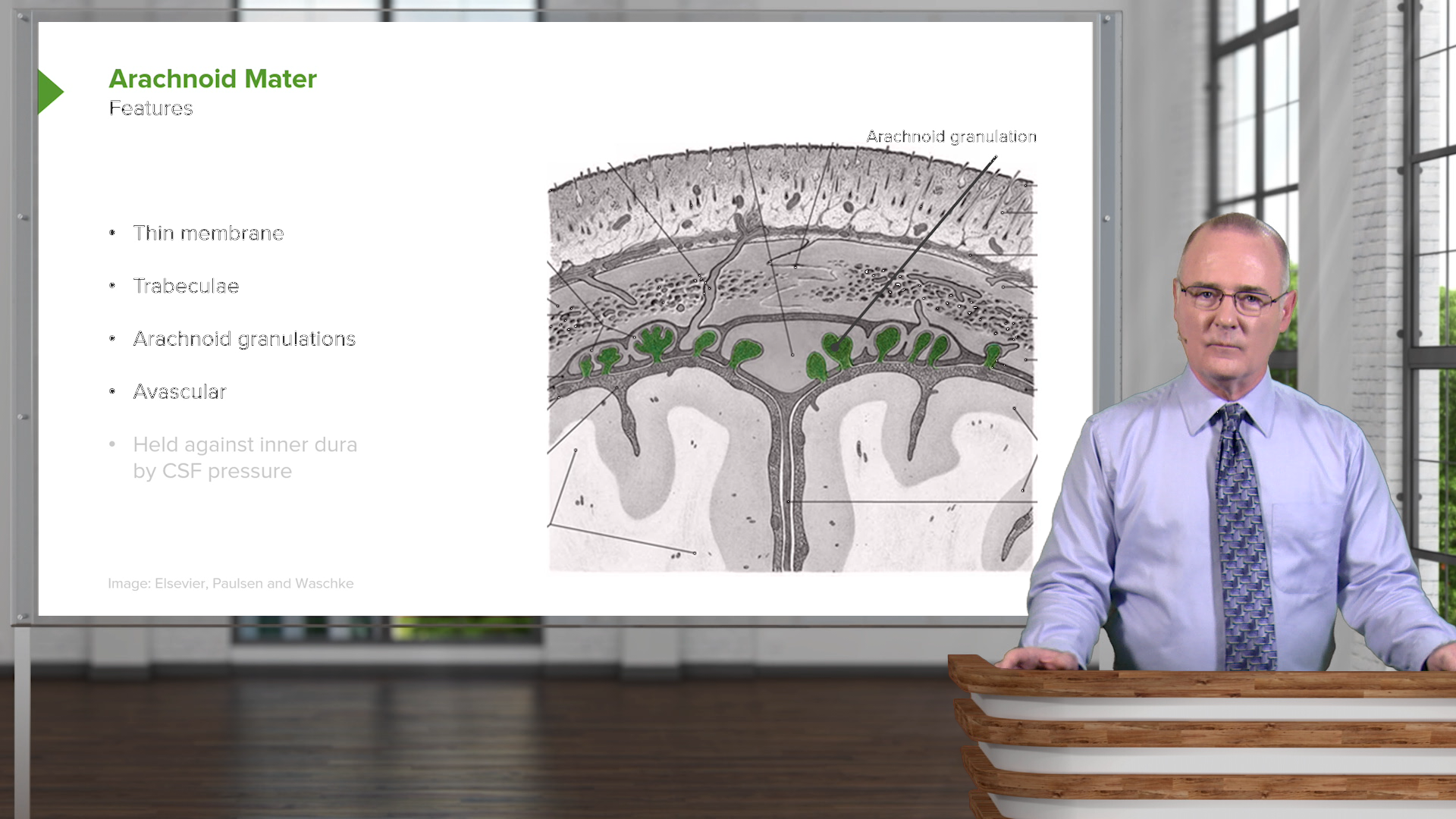 Dura Mater, Arachnoid Mater & Pia Mater – Online Neuroanatomy Lecture