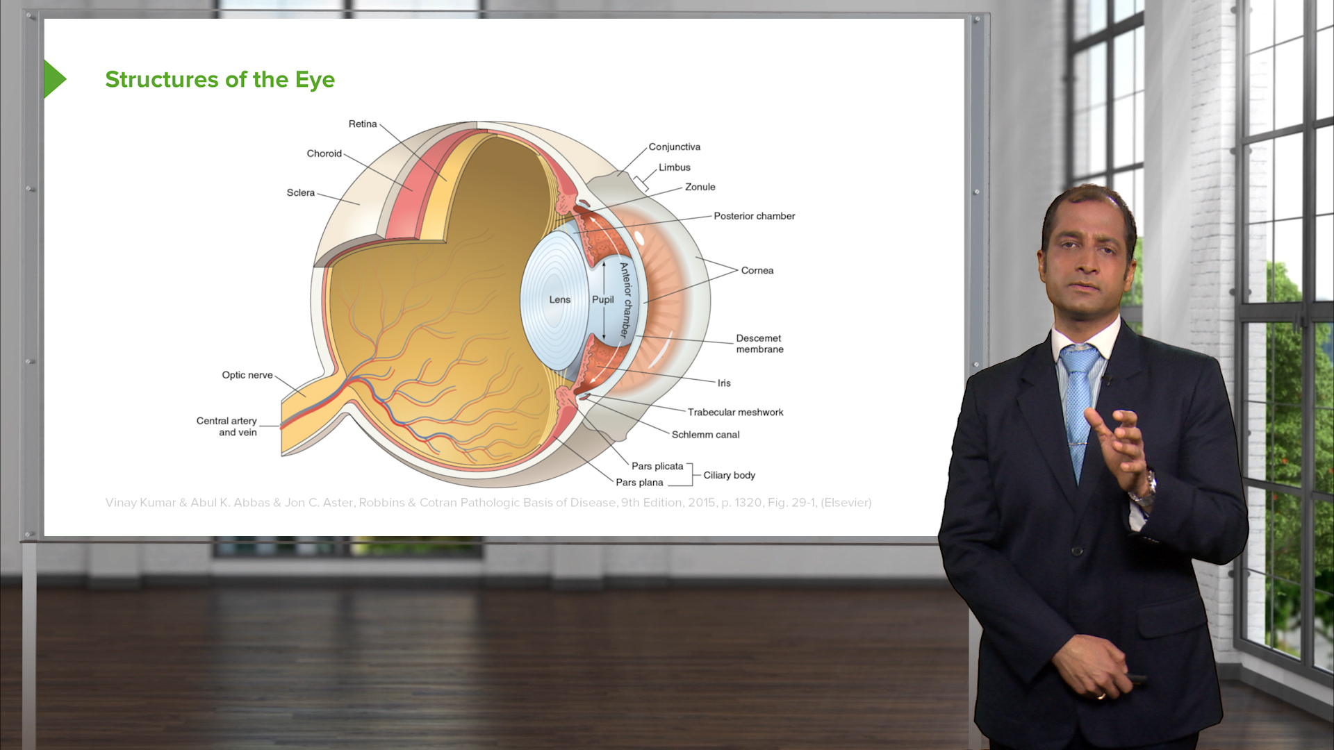 Ophthalmology: Basic Principles with Carlo Raj – Online USMLE Prep ...