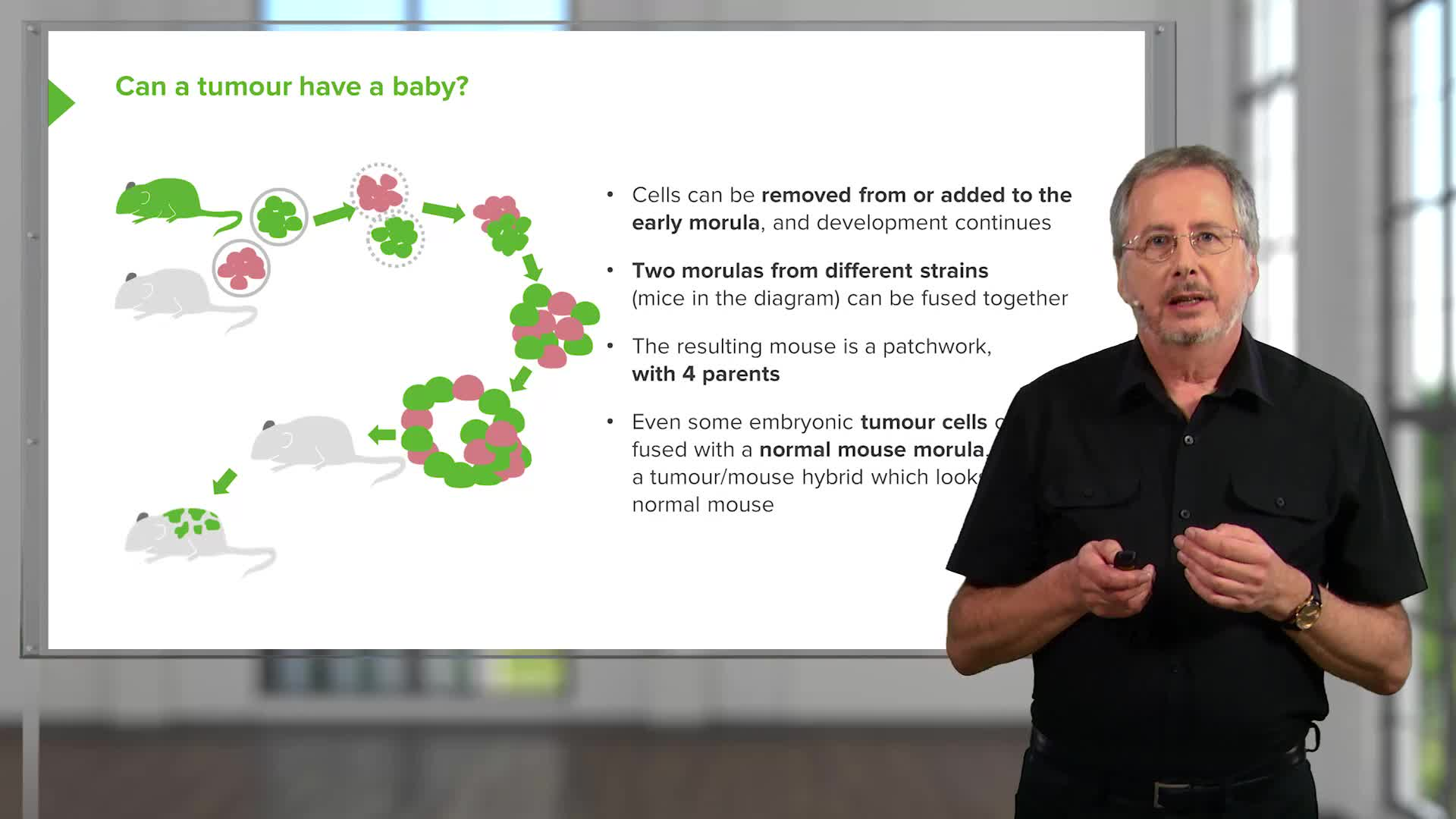 In Vitro Fertilization Spermatogenesis And Oogenesis