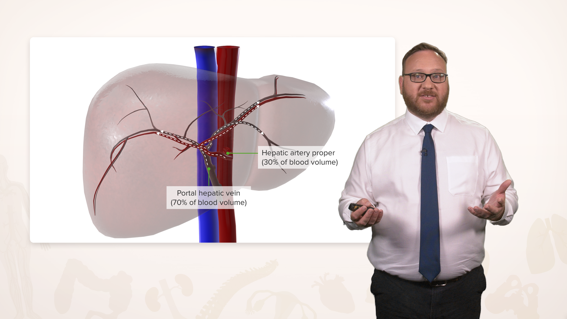 Surface Anatomy of the Liver – Online Anatomy Lecture | Lecturio
