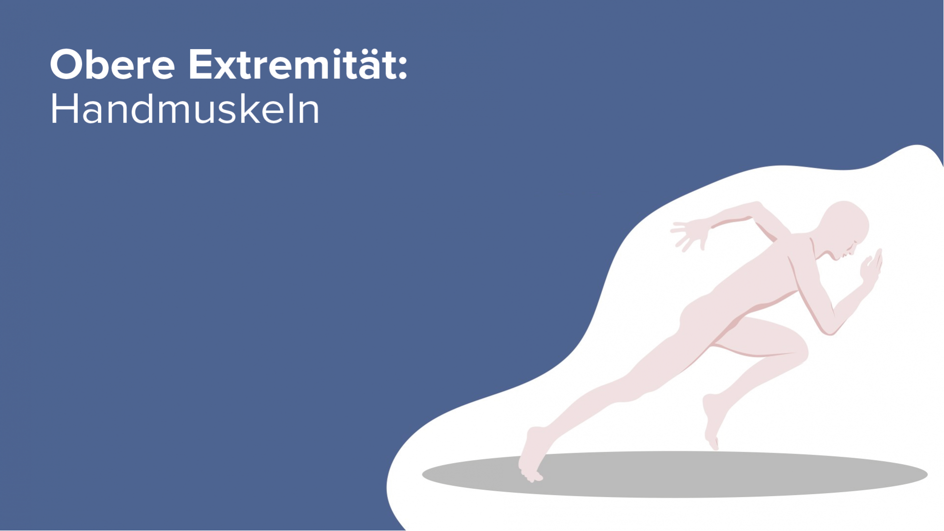 Handmuskeln: Gruppenübersicht – Physikum Vortrag | Lecturio Handmuskeln: Gruppenübersicht – Physikum Vortrag | Lecturio