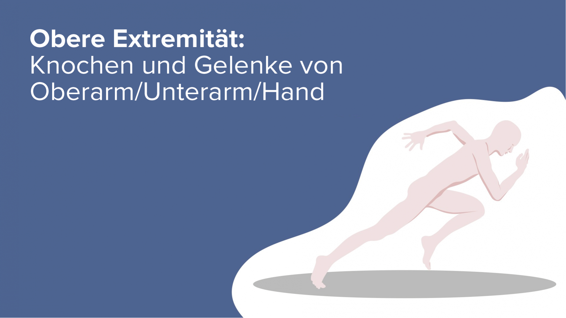 Obere Extremität: Oberarm – Online Physikum Kurs | Lecturio